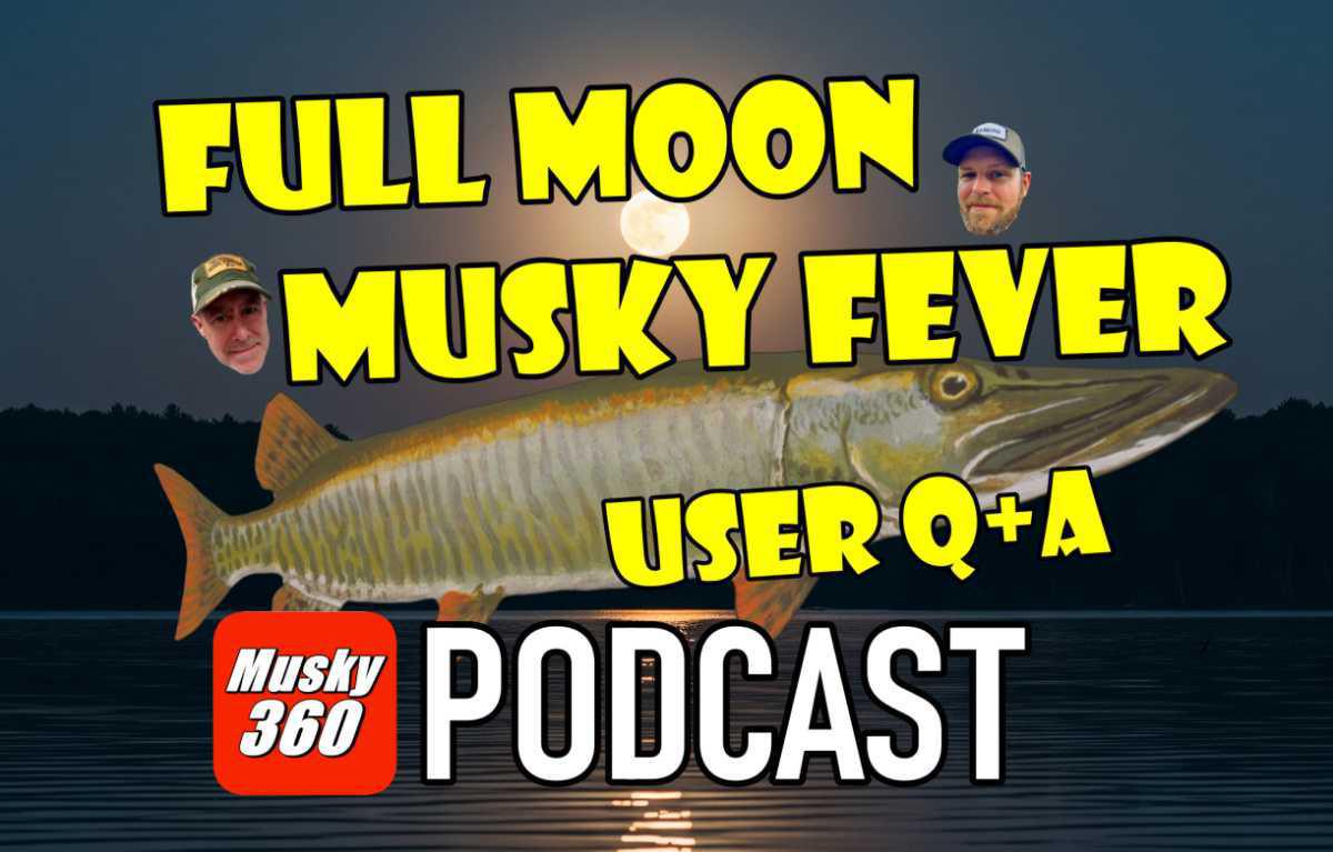MUSKY360 PODCAST Episode 291: Full Moon Musky Fever Q+A – Musky Shop