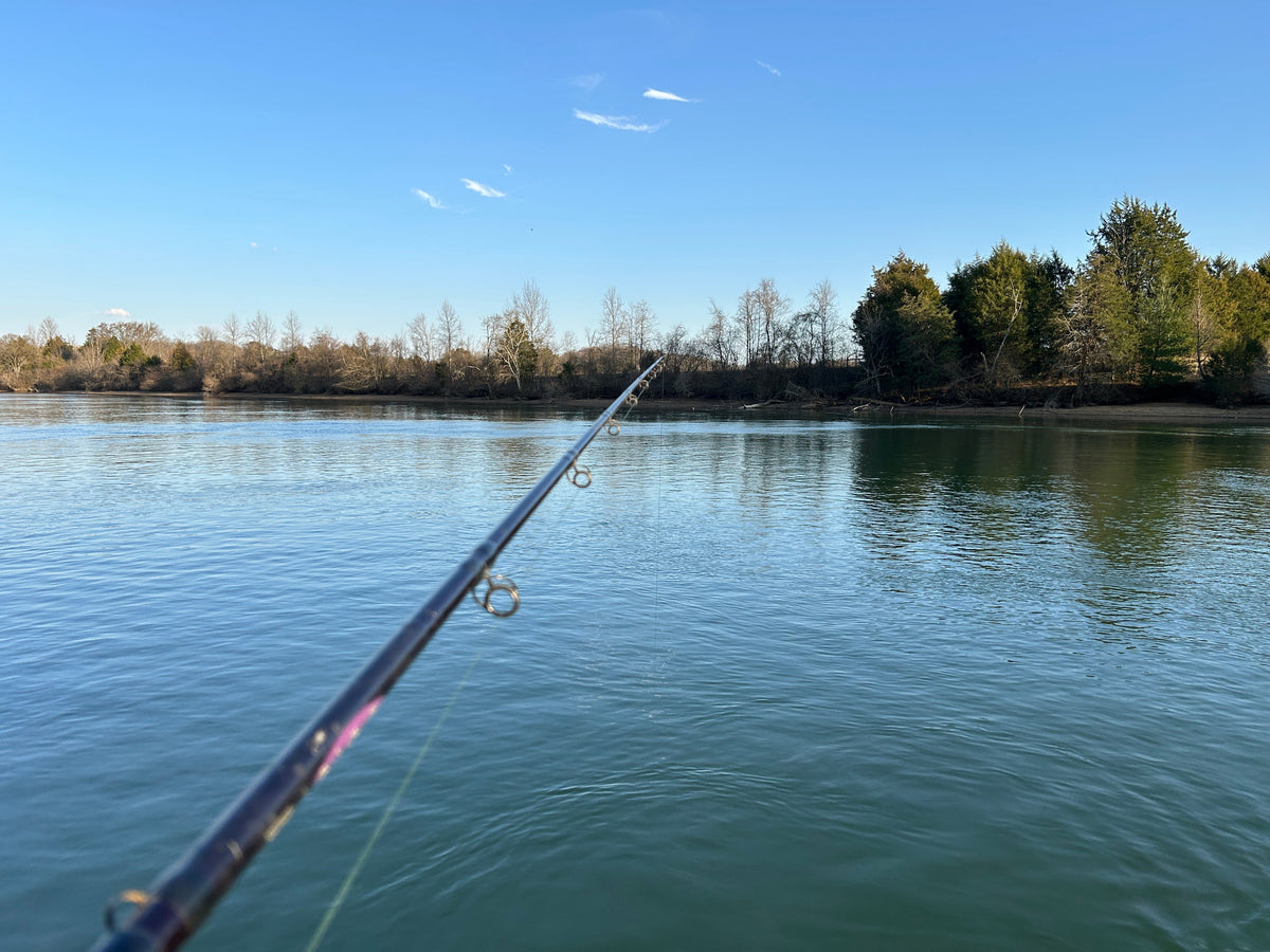 Mastering the Cast: Proper Hand Positioning: Technique for a Low-Profi ...